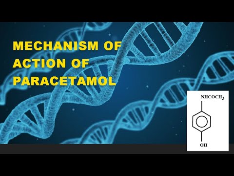 Mechanism of action of Paracetamol - YouTube