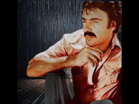 Ferdi Tayfur- Dönebilsem 