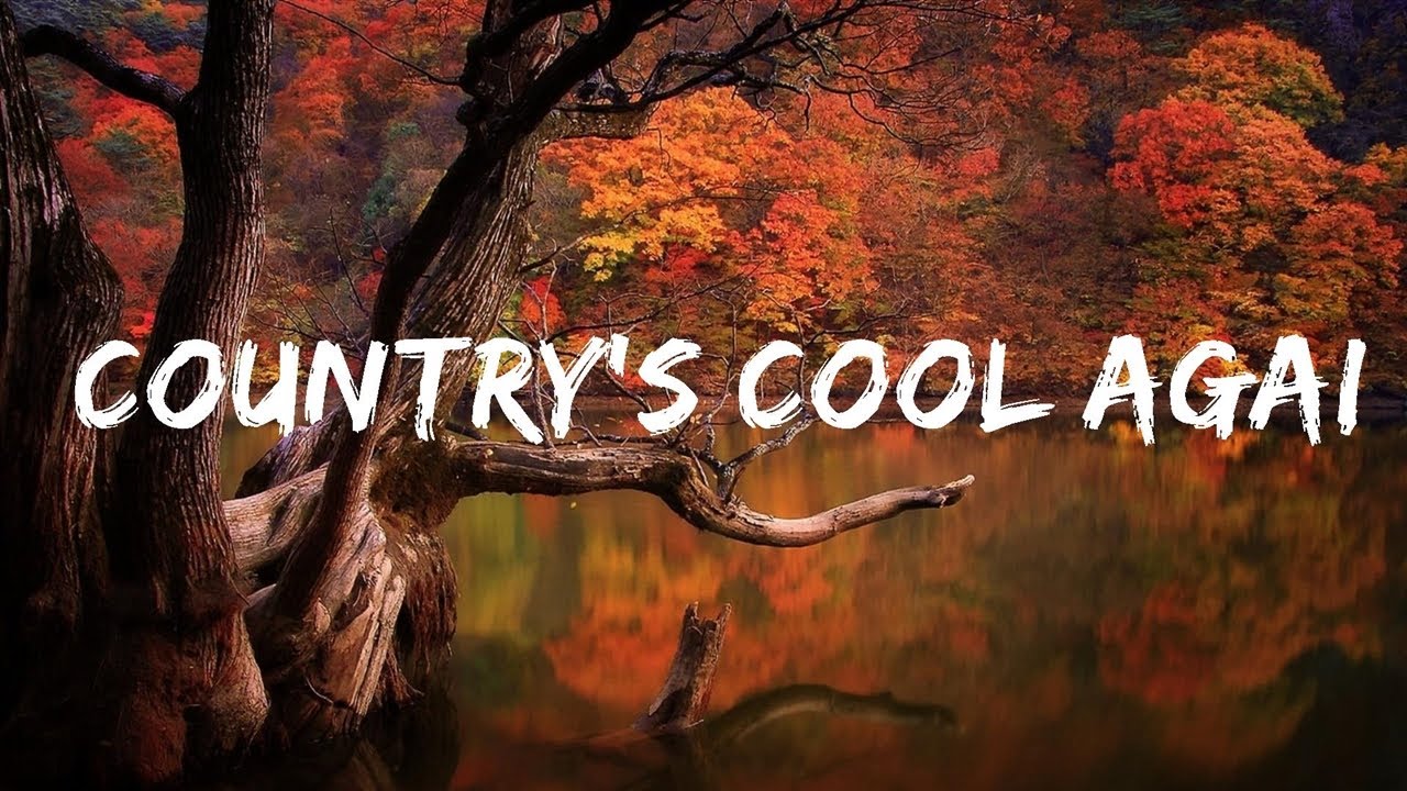 Lainey Wilson - Country's Cool Again (Lyrics) | Top Best Song - YouTube
