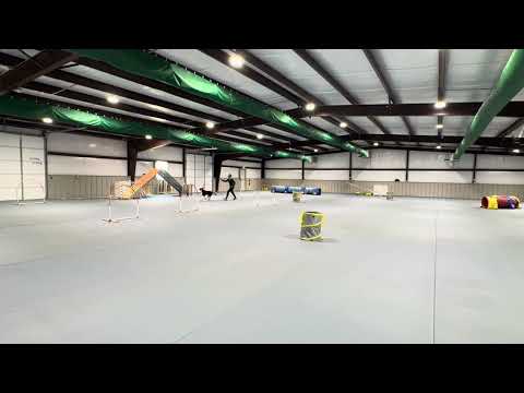 Open Grounders, Kinsley (24-12087) Jodi Delgado, Skilled Vet, Crush 2