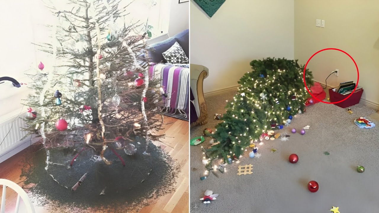 10 Hilarious Christmas Tree Fails This Year - YouTube