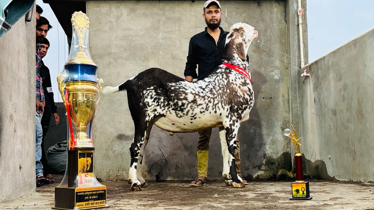 Champion rustam in indore At FARZAN Pathan - YouTube