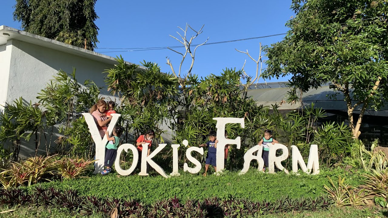 Yoki's Farm • Day Tour • Cavite - YouTube