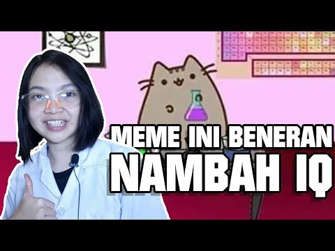 Meme Yang Membuat Kalian Jadi Pintar - #BelajarBersama - YouTube