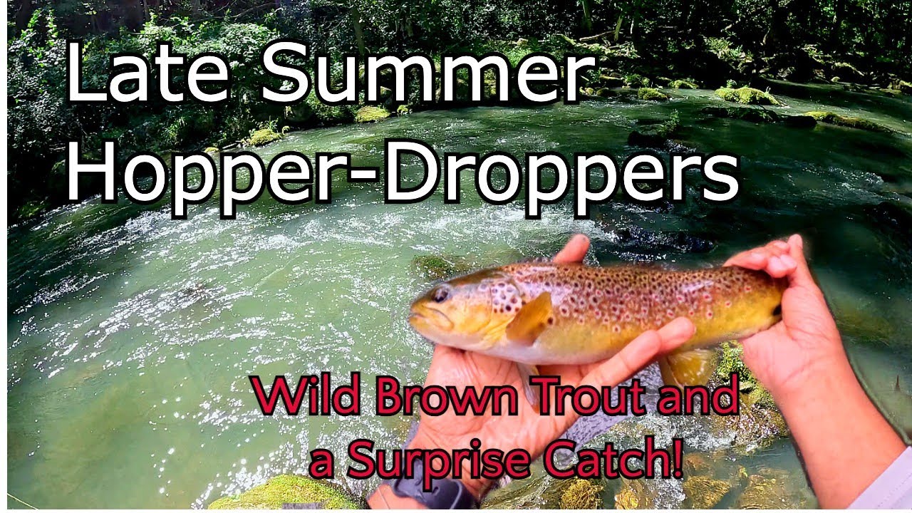 Fly Fishing Hopper Droppers in TOUGH Late Summer Conditions (Wild Brown ...