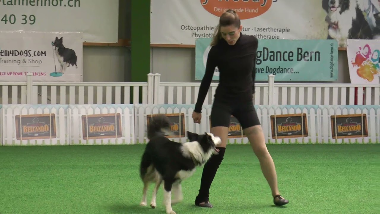 Freestyle Roni Sagi and Pessah OEC 2021 - YouTube