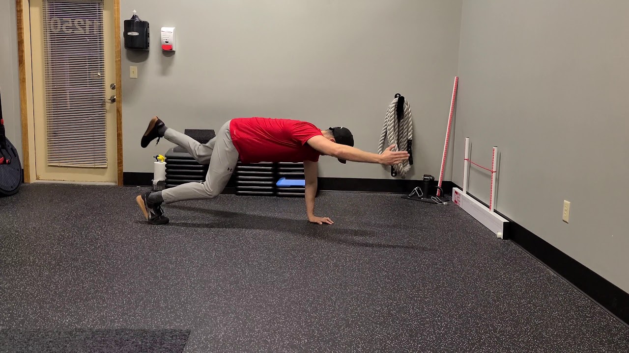 Quadruped Shoulder Tap Into Birddog - YouTube