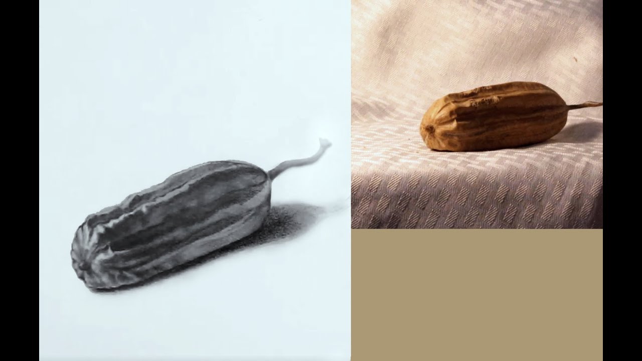 Basic Pencil Rendering, Drawing A Ridged Gourd - YouTube