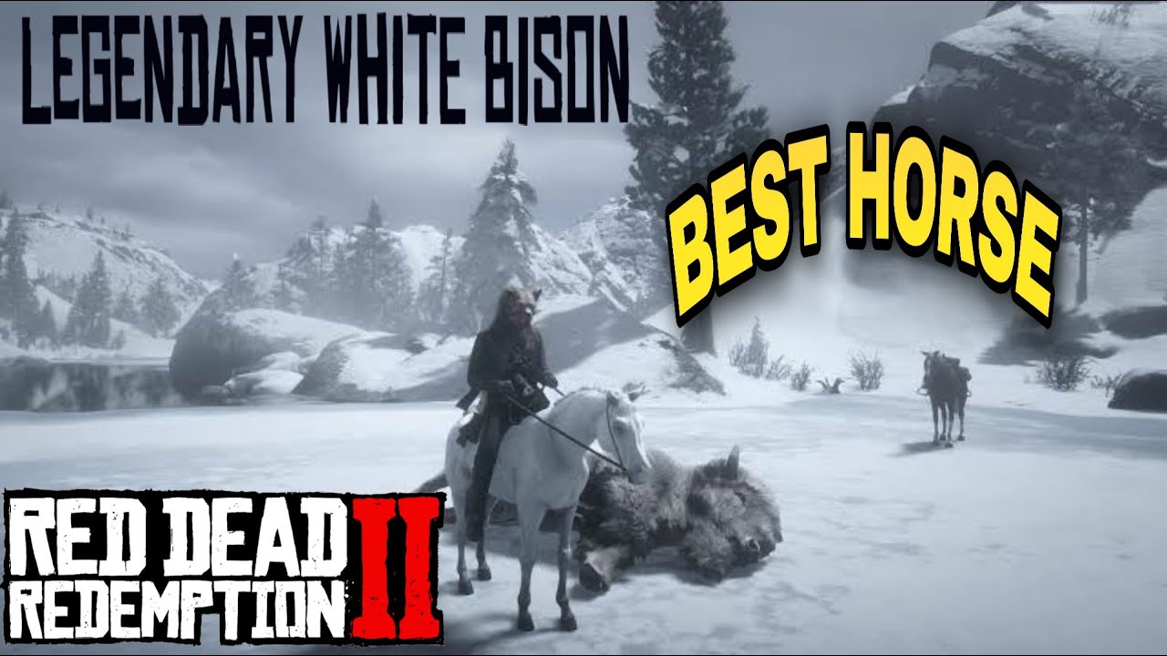 Hunting Legendary White Bison & Arabian White Horse Red Dead Redemption ...