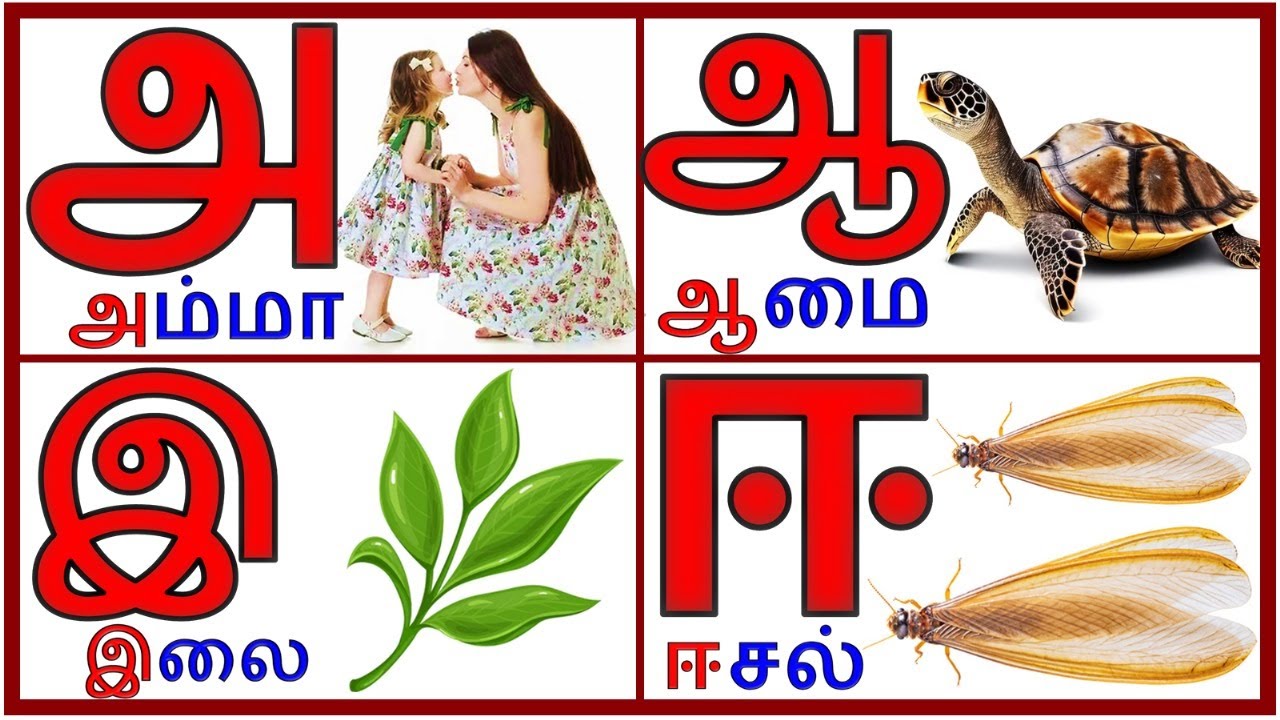 a amma aa aadu/tamil alphabets/தமிழ் எழுத்துக்கள்/Uyir eluthukkal/உயிர் ...