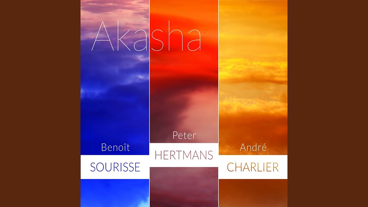 What Is (feat. Peter Hertmans, Benoît Sourisse, André Charlier ...