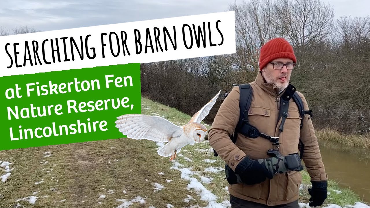 Searching for Barn Owls at Fiskerton Fen - YouTube