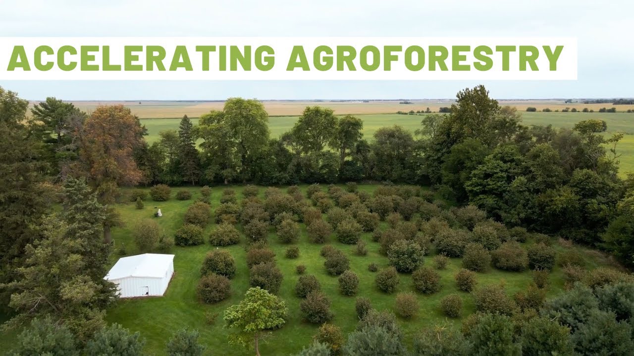 Hazelnut Farm of Hubbard Trail - YouTube