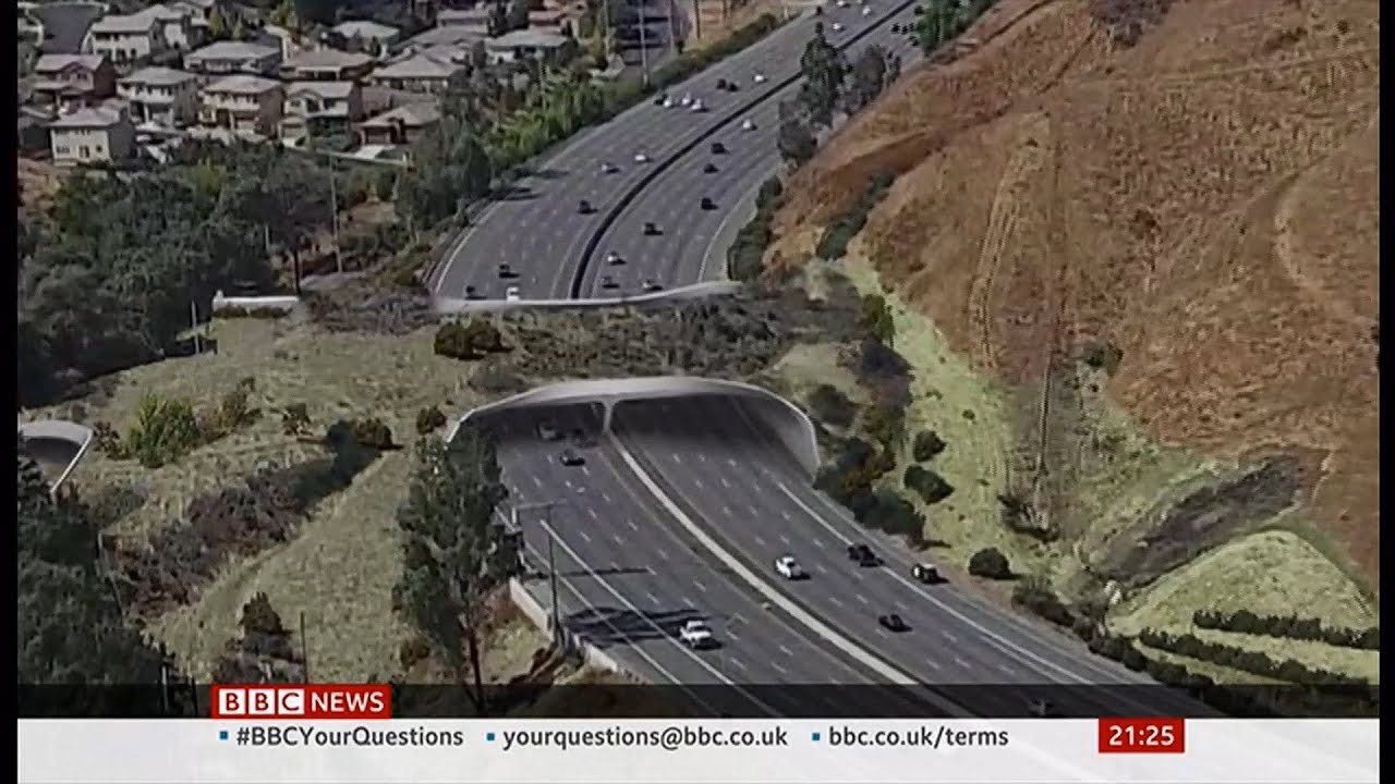 Wallis Annenberg Wildlife Crossing breaks ground on Earth Day (USA ...
