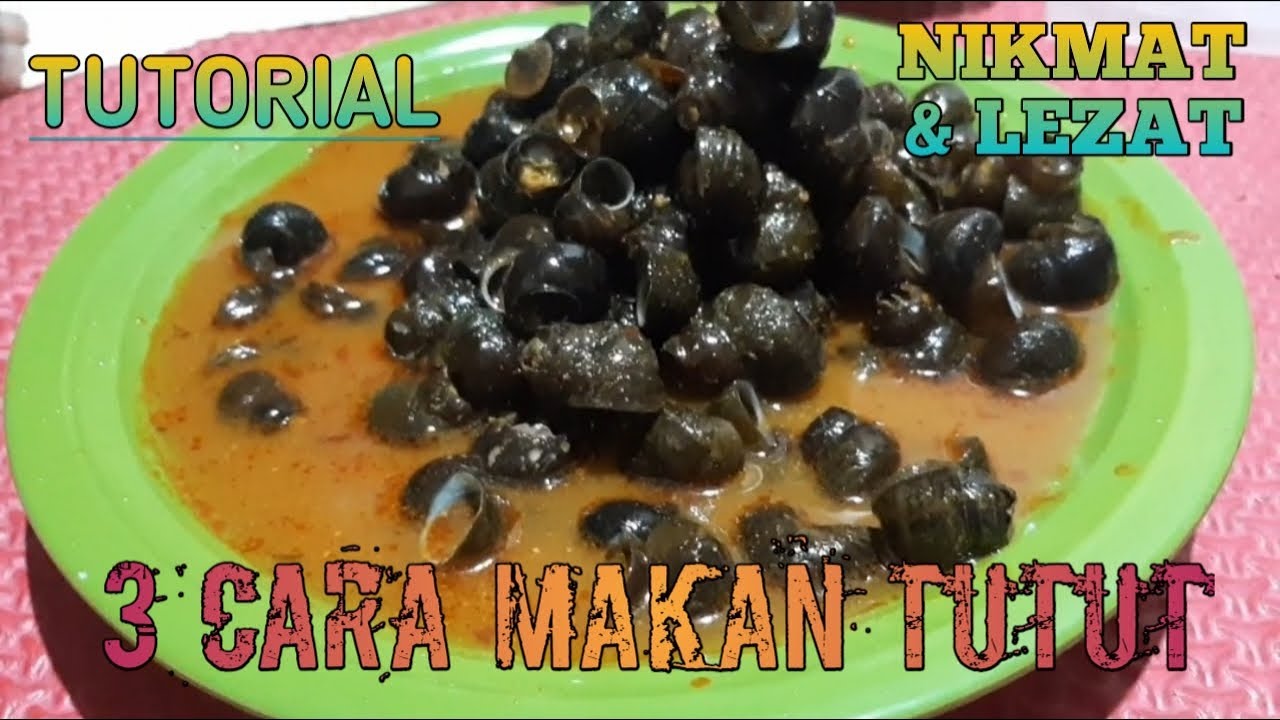 Keong sawah (tutut)|| Tutorial cara makan keong sawah (tutut) praktis ...