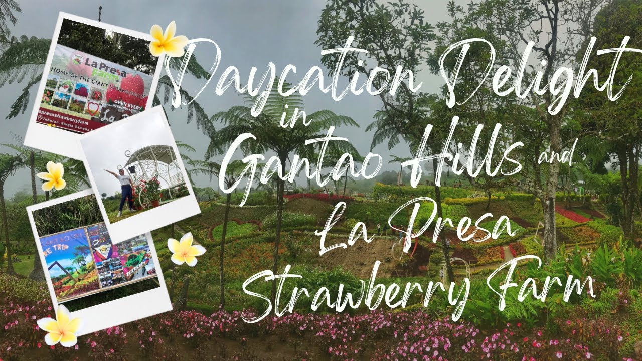 Gantao Hills & La Presa Strawberry Farm | Zamboanga del Norte ...