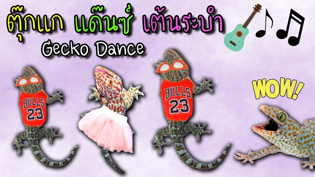 ตุ๊กแกแดนซ์ เต้นระบำ Gecko dance สนุกๆ - YouTube