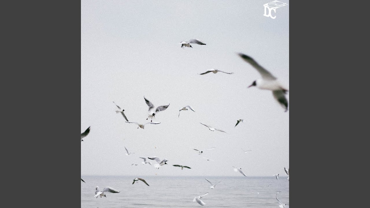 Rocking Bird - YouTube