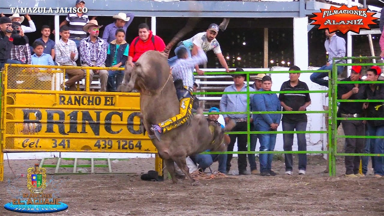 $40 000 MIL PESOS AL PÚBLICO Y LA REVANCHA ESPERADA CHEPE DÍAZ VS EL ...