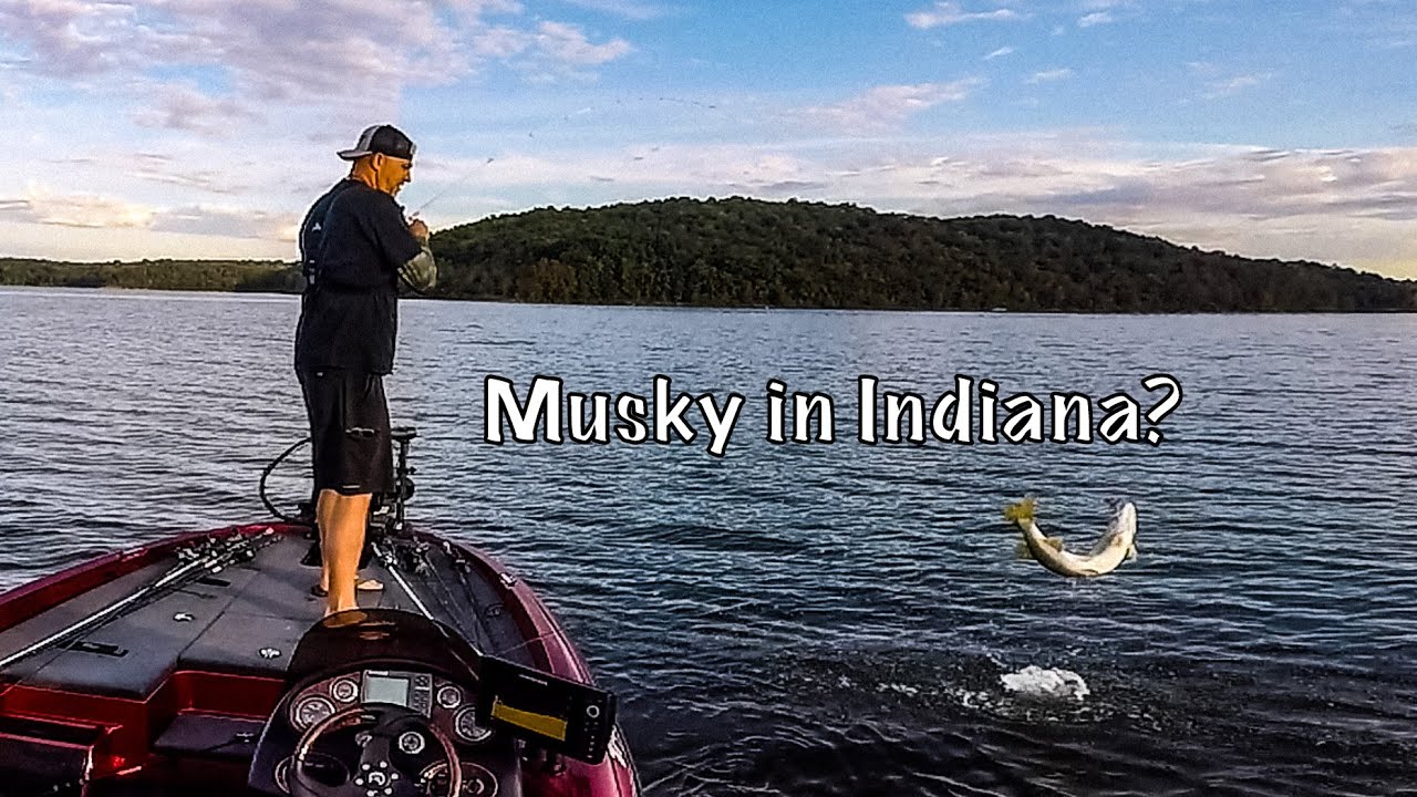 Fishing for Musky in Indiana - YouTube