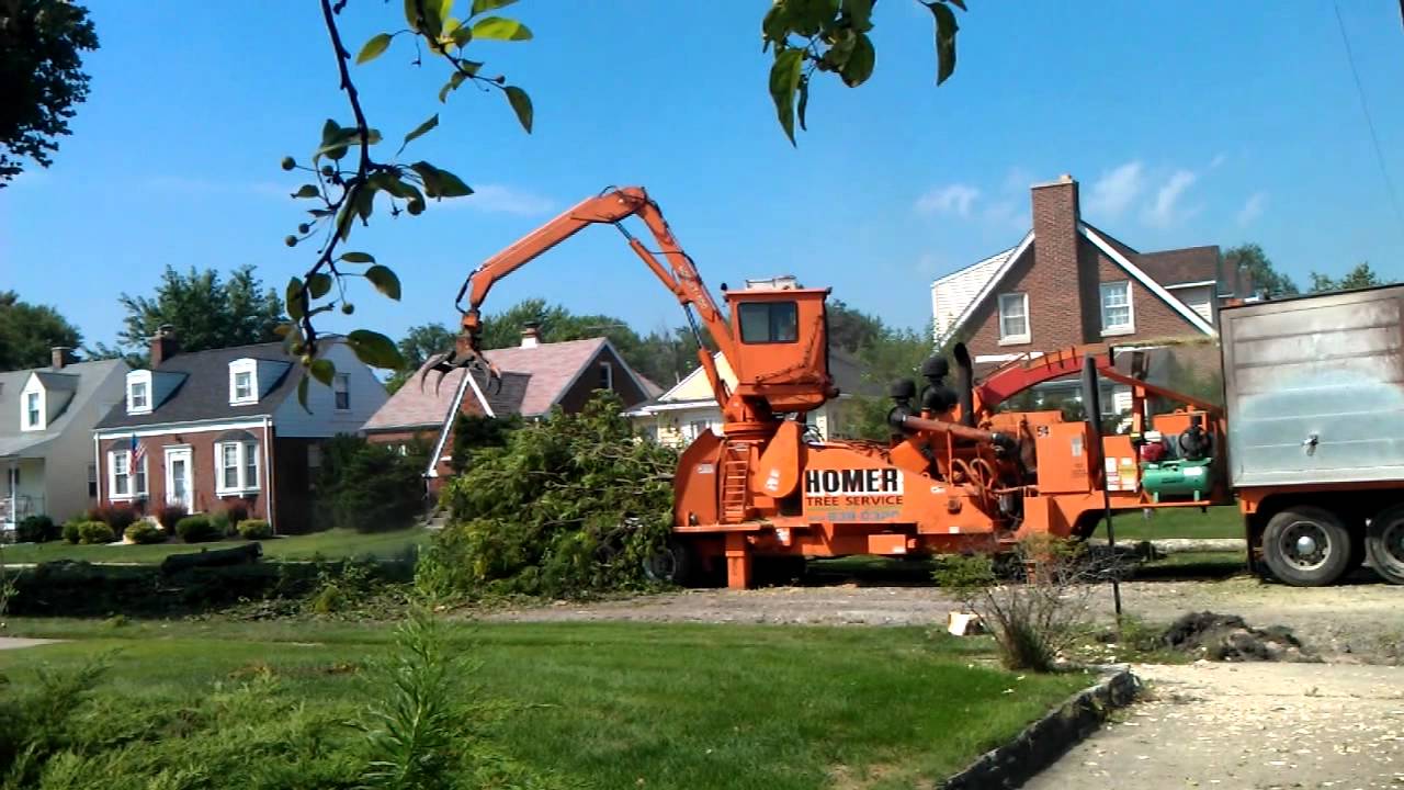 Tree Eating machine in action - YouTube