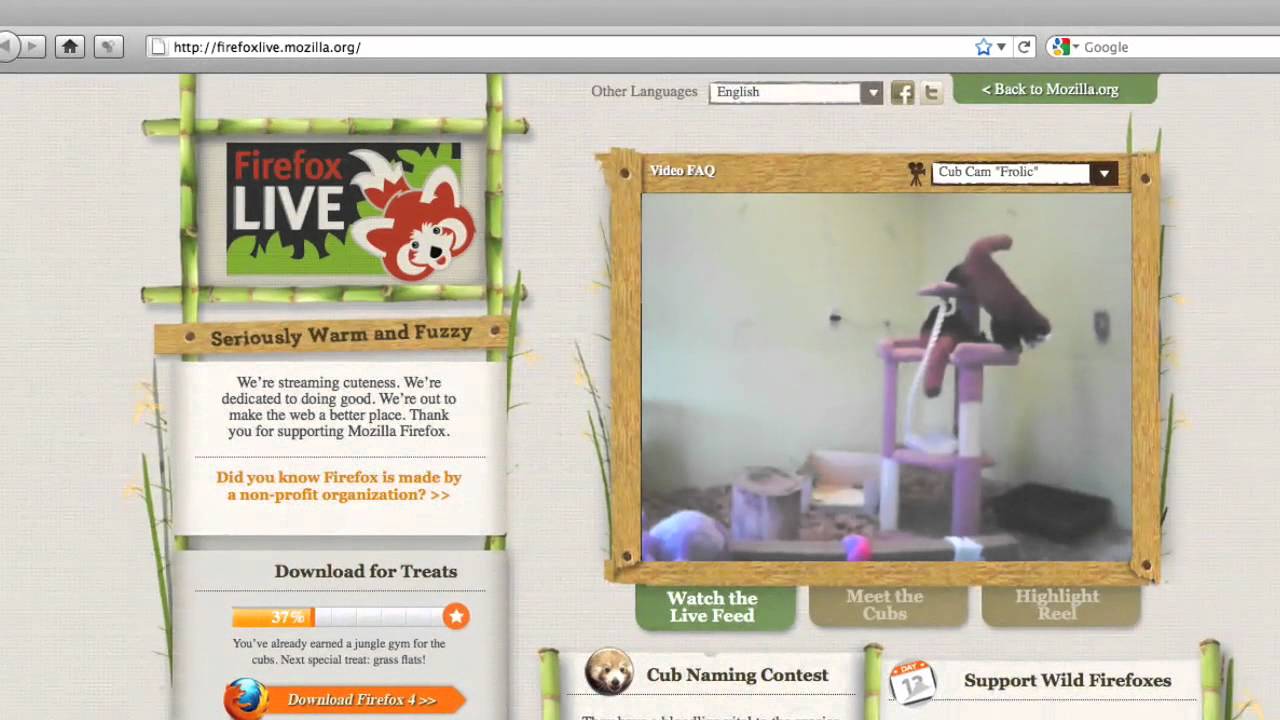 Mozilla Firefox - Case Study - YouTube