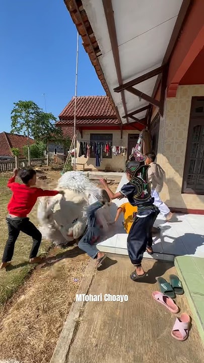 Bikin heboh bocil ff dimakan can macanan ️ - YouTube