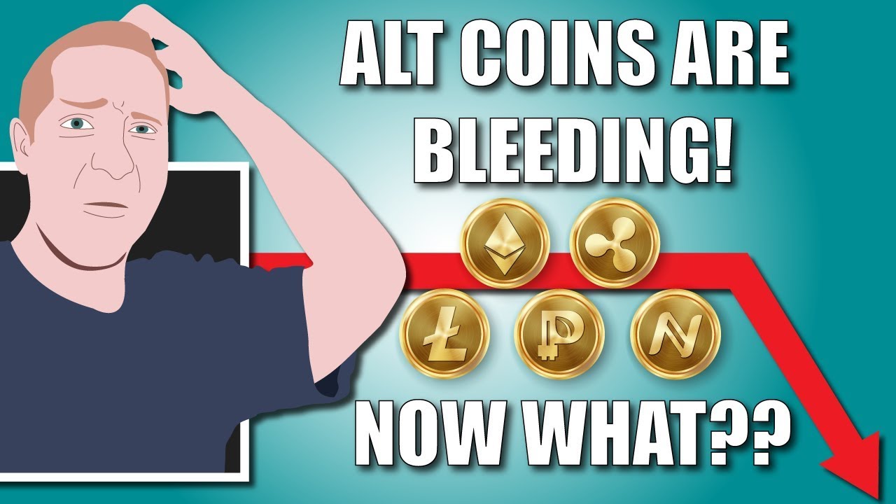 Are Alt Coins Done Bleeding?! Bitcoin Update! - YouTube