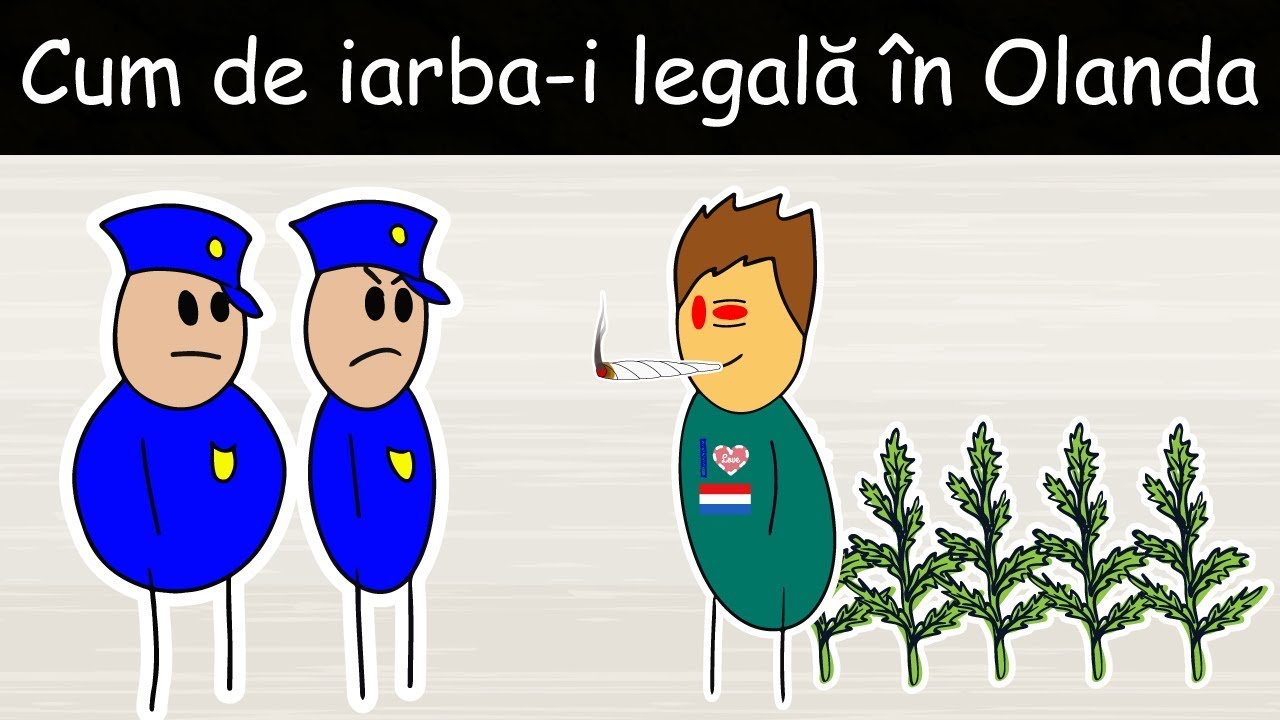 De Ce Este Iarba Legală În Olanda? - DLJ#6 - YouTube