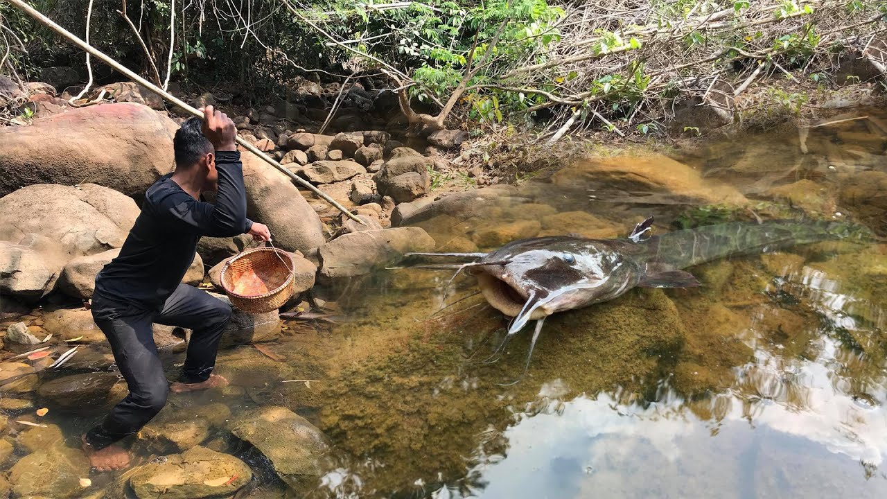 Survival Skills : Found Big Fish - Catching Fish And Cooking Delicious ...