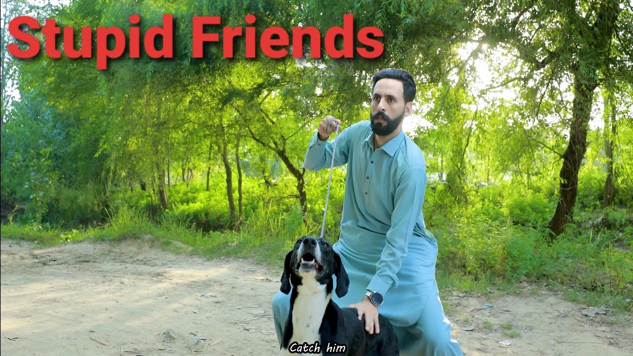 Types of stupid friends (part 2) Buner vines new funny video - YouTube