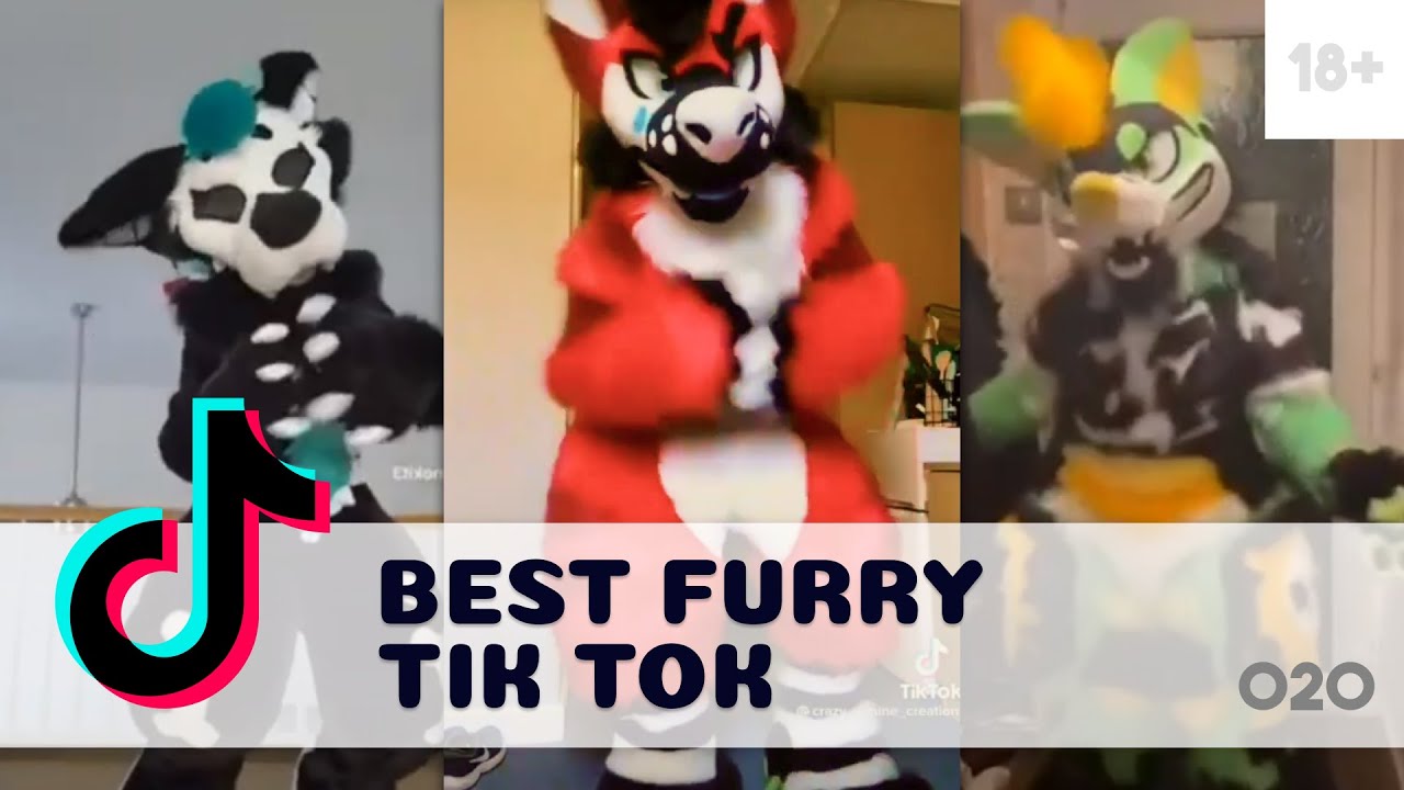 Furry Tik Toks compilation [ Ep 020 ] - YouTube
