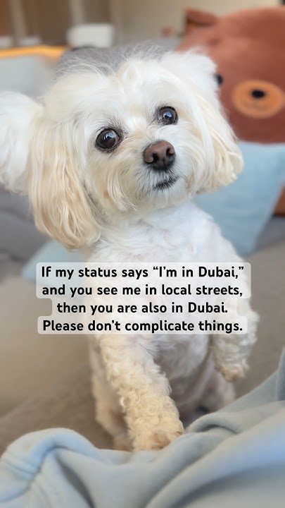 Keep it simple - YouTube