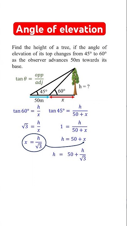 Angle of Elevation Word Problem with Trigonometry #trigonometry - YouTube