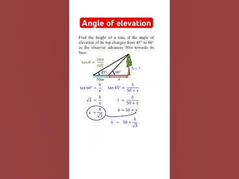 Angle of Elevation Word Problem with Trigonometry #trigonometry - YouTube