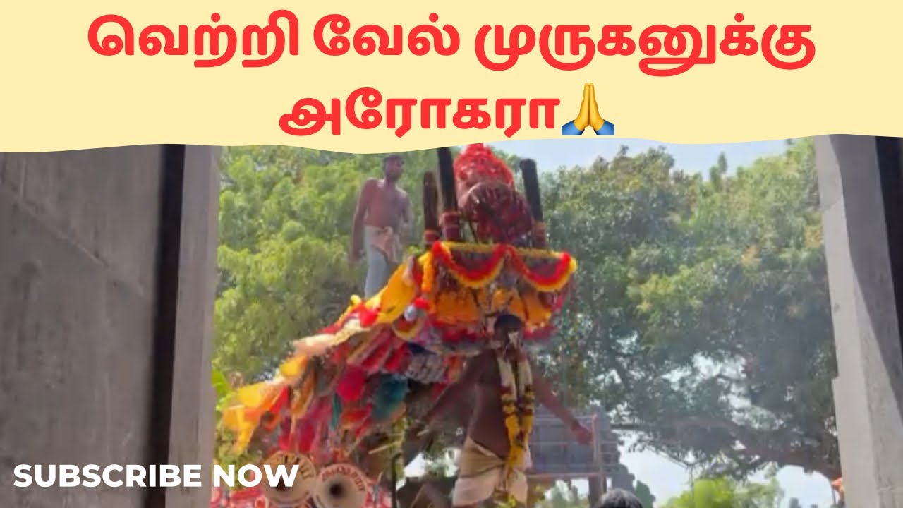 paravai kavadi 🙏 || பறவைக்காவடி #100k #viral #breakingnews #murugan # ...