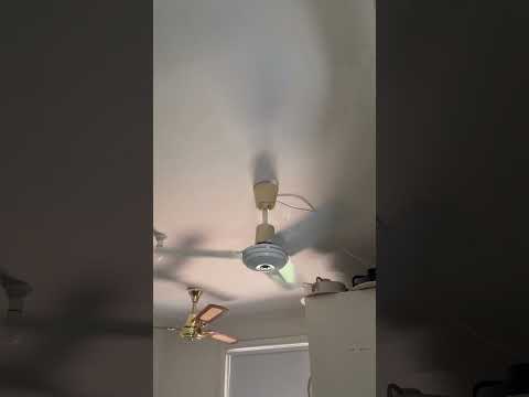 DEMC ceiling fan #shorts #ceilingfan