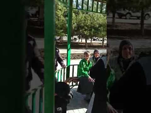 Şirvan şəhərində namizəd Xanbəgim Bağırlı Emir qızı,caamatla görüşüb.Caanatın problemləriylə maraqla