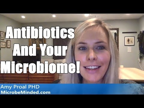 Amy Proal Talks About Antibiotics - YouTube
