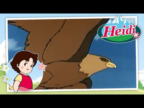►HEIDI klipler 16