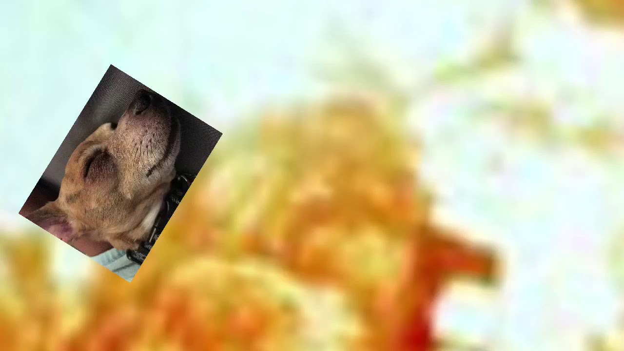 EVIL SOUP 2 TRAILER - YouTube