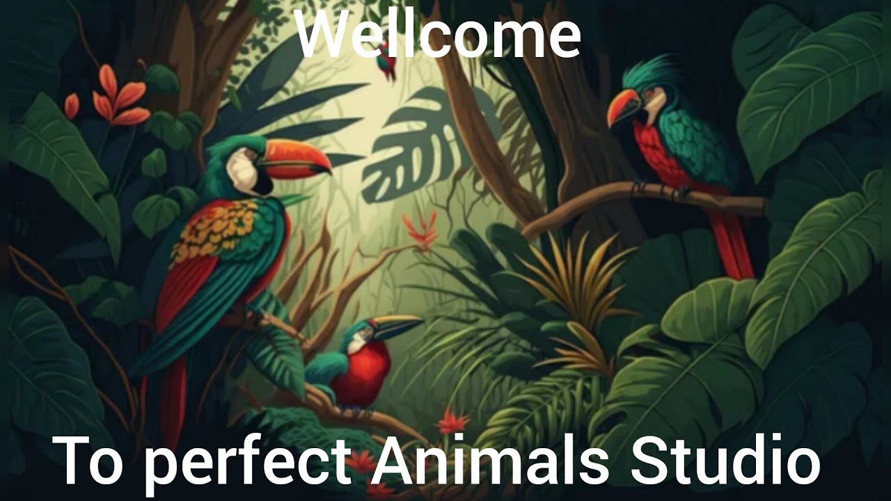 Wellcome to Perfect Animals studio, Animals farm, Animals moments, Pet ...