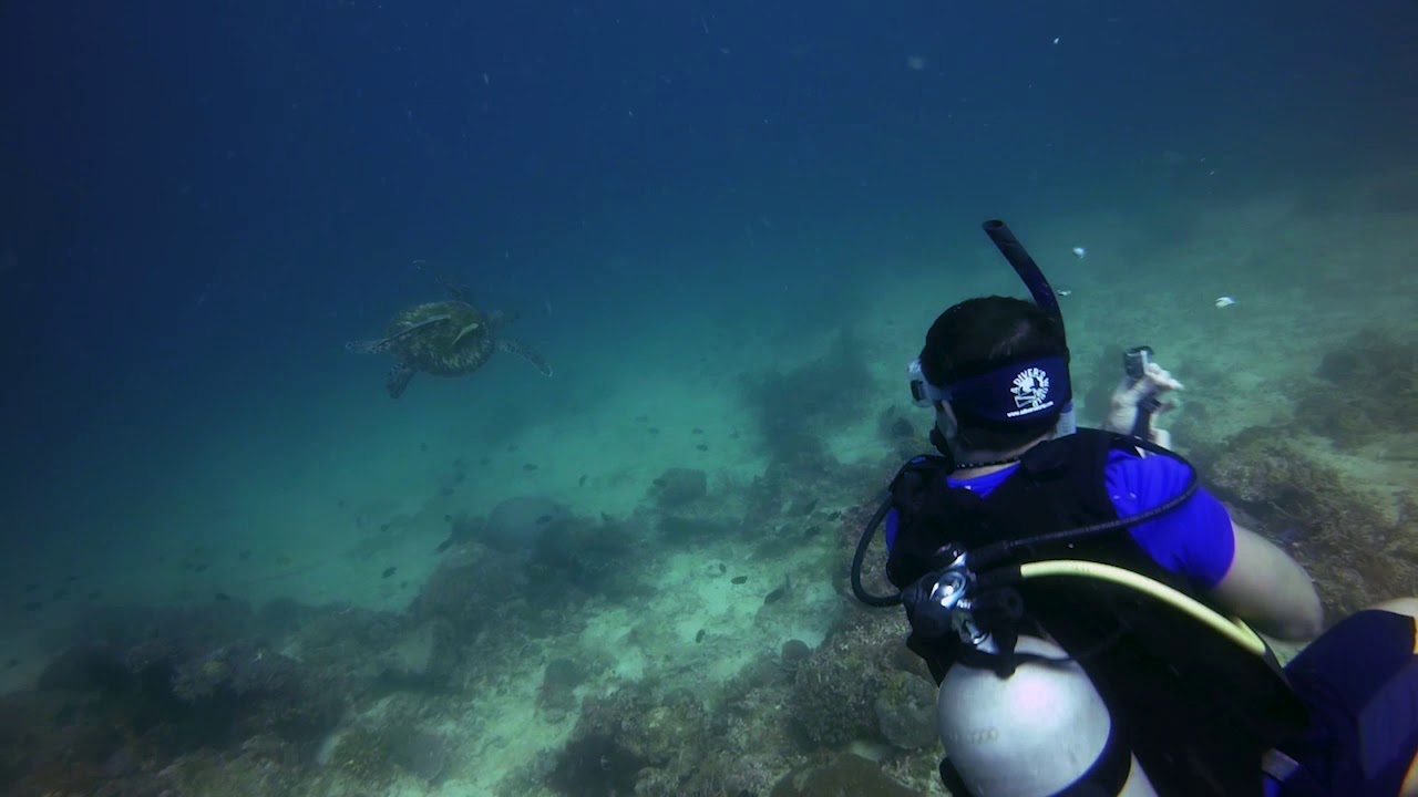GoPro Hero 4 | Scuba Diving with Turtles | Punta Diwata, Carmen, ADN ...