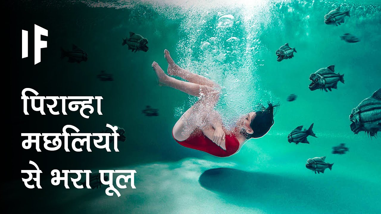 क्या हो अगर आप पिरान्हा मछलियों से भरे एक पूल में गिर जाएं | What If ...