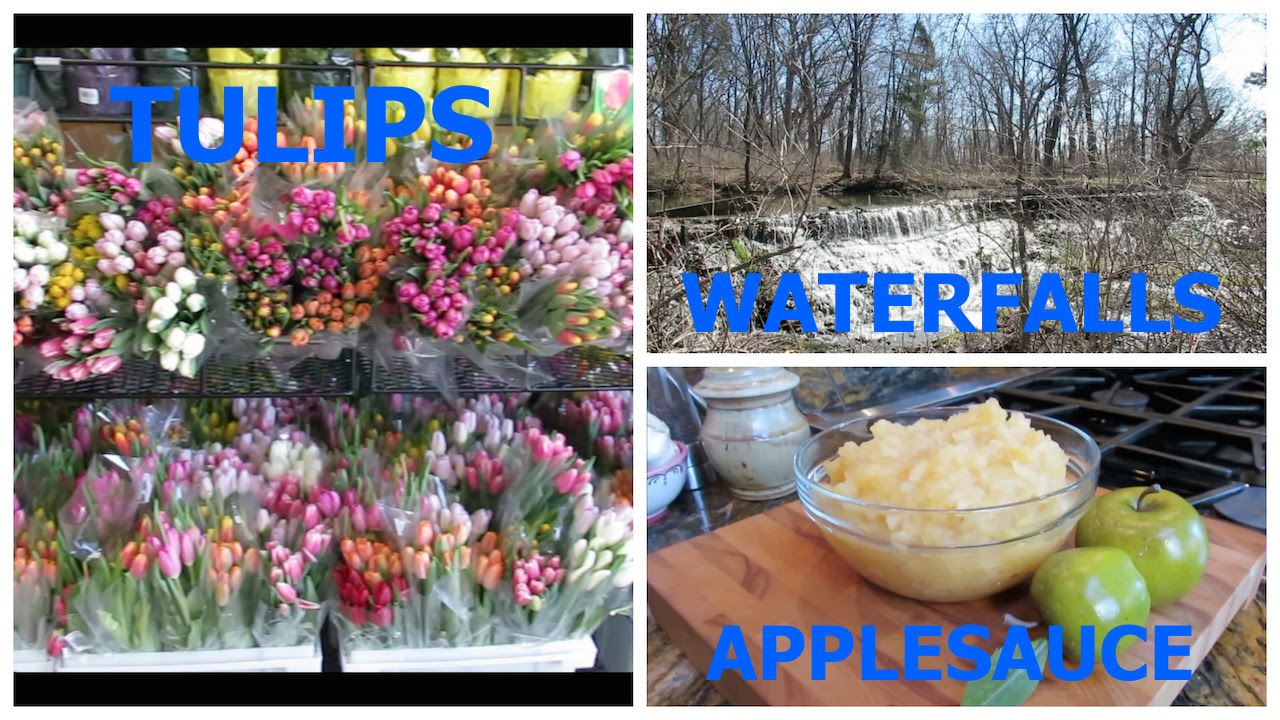 Tulips, Waterfalls and Applesauce... - YouTube