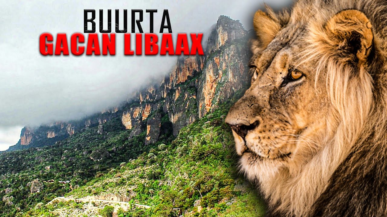 Maxaad ka ogtahay Taariikhda Guunka ah ee Buurta Gacan-Libaax? - YouTube