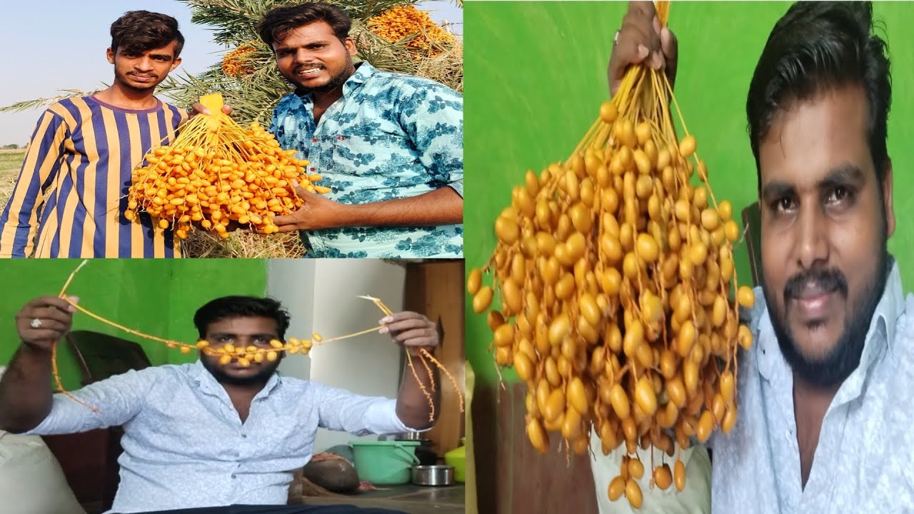 eetha pallu enni maginayo chuddam randi mamulgaledu 😋🫘testy fruits ...