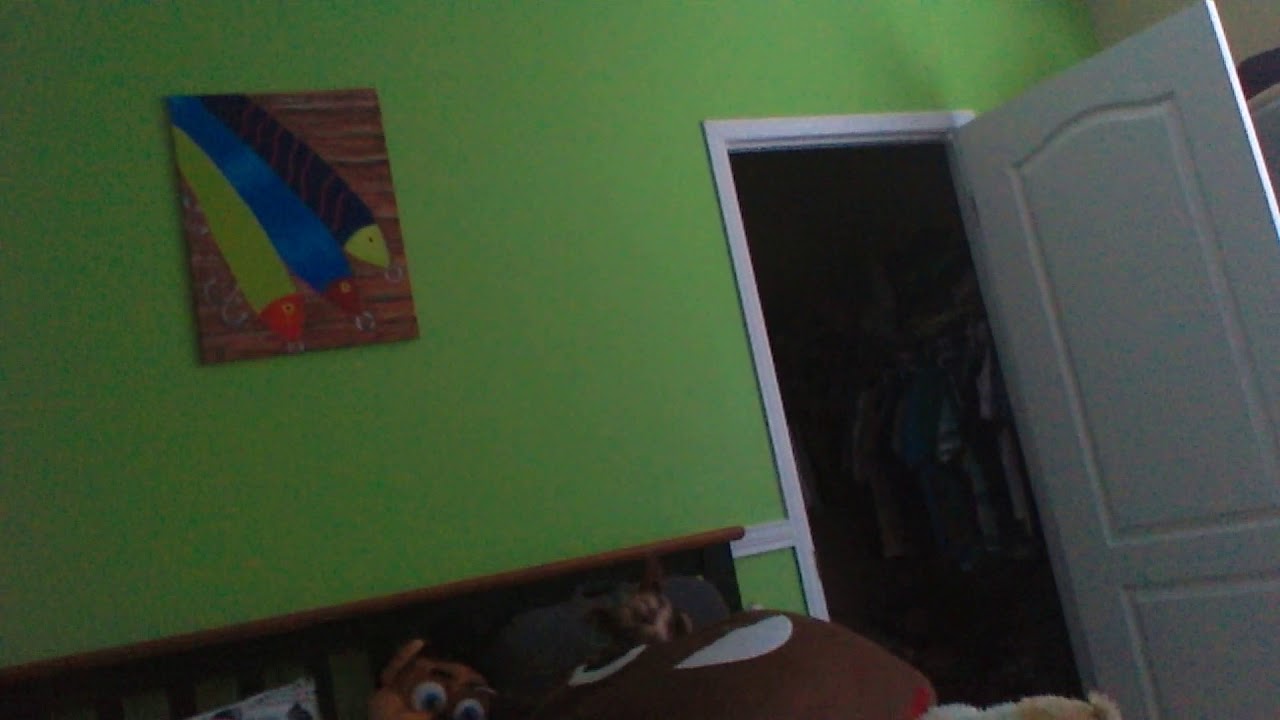 Srsly dog 🐕 - YouTube