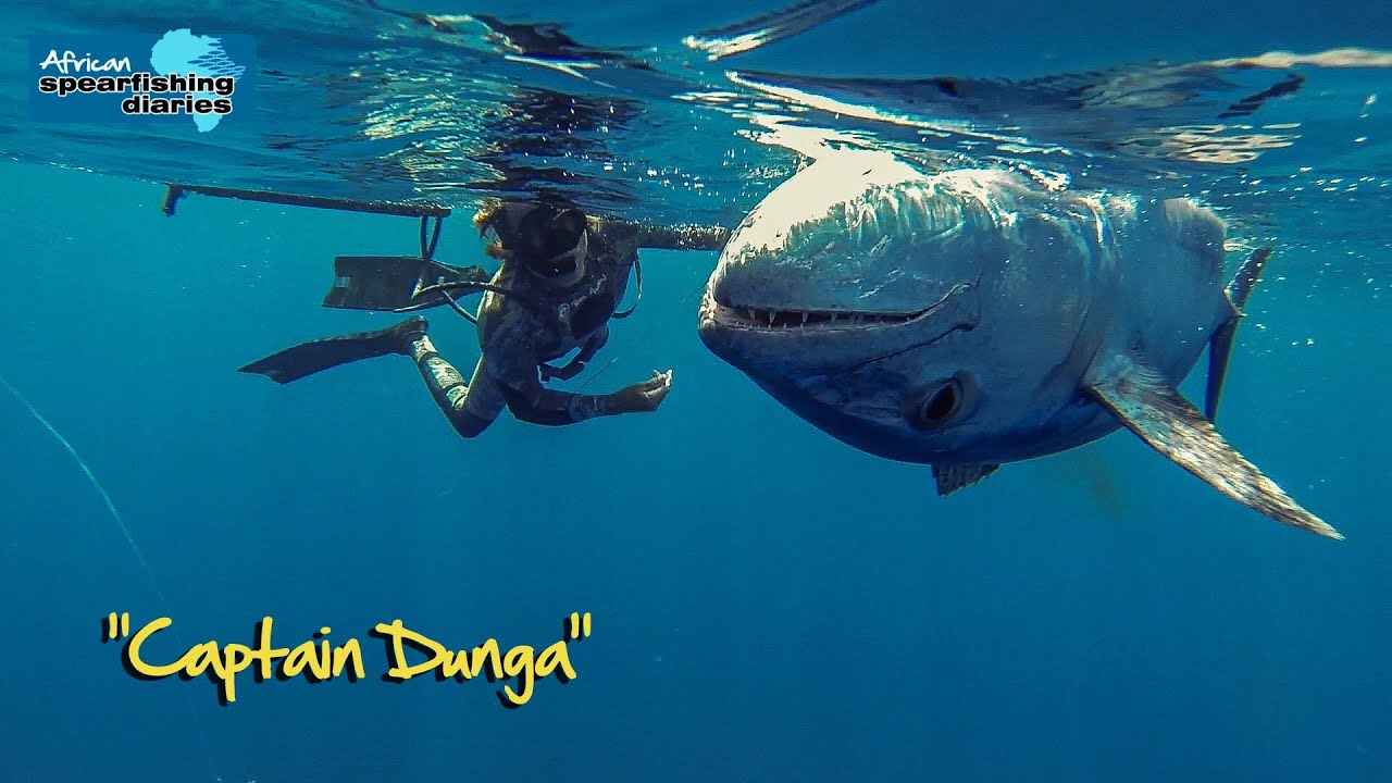 Spearfishing Latham Island - ASD "Captain Dunga" - YouTube