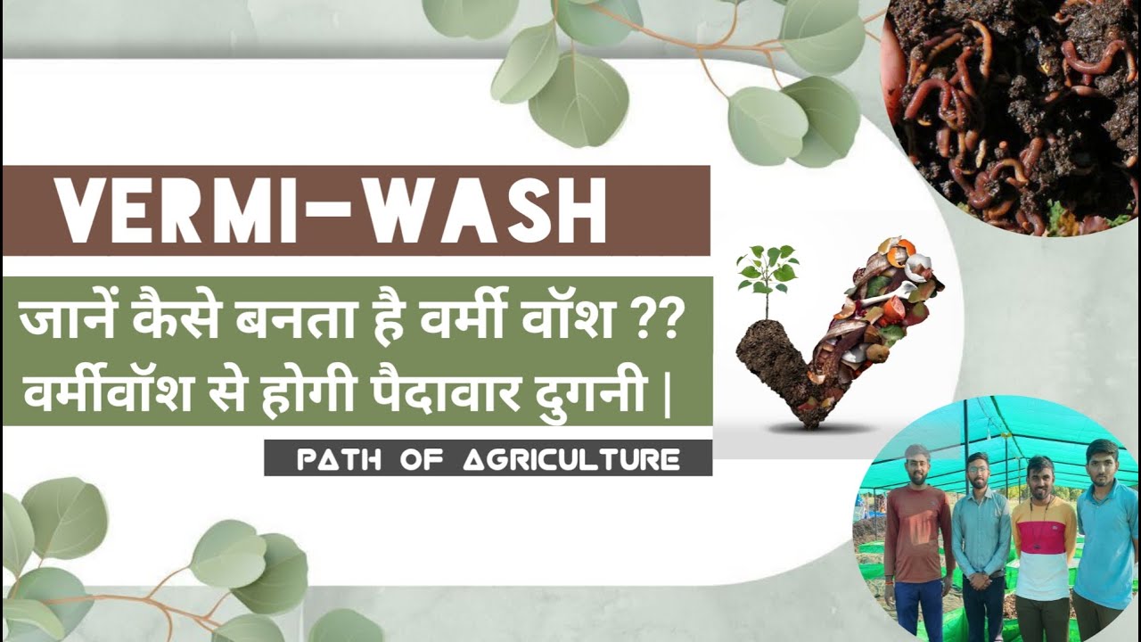 Vermi-Wash | वर्मीवॉश से लाखो कमाए | Vermicompost | Earthworm | Organic ...